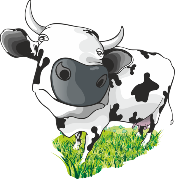 Vache - Cattle Clipart - Full Size Clipart (#2176443) - PinClipart