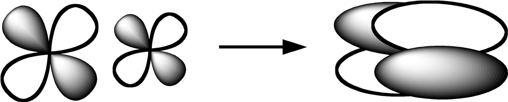 Delta Bond Formation 2d - Orbitals For Delta Bonds Clipart - Full Size ...