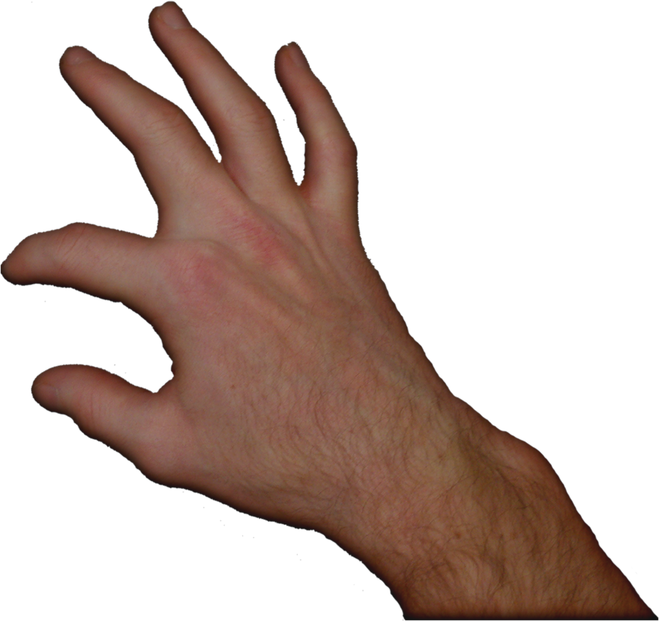 Hand Pictures Clip Art - Png Download - Full Size Clipart (#2228150 ...