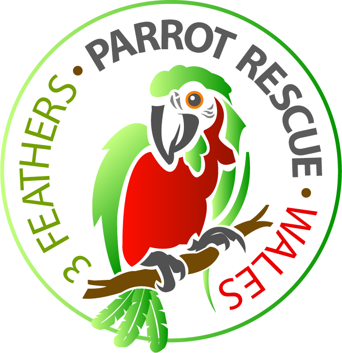 3 Feathers Parrot Rescue Wales Logo Clipart - Full Size Clipart ...