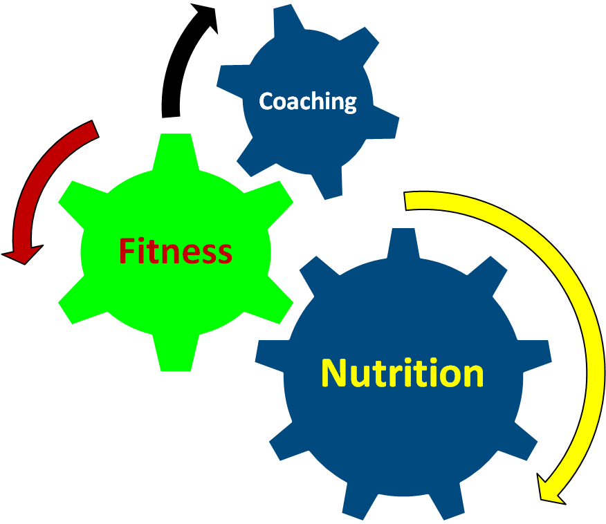 Fitness Classes Clipart - Full Size Clipart (#2288658) - PinClipart