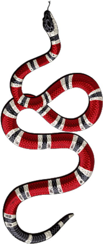 Gucci Guccisnake Supreme Hit Top Make Super Antisocial Clipart - Full ...