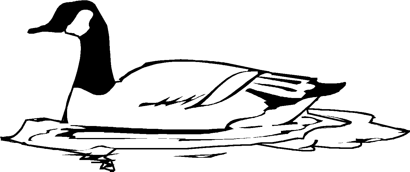 Duck People Clipart - Full Size Clipart (#2321448) - PinClipart