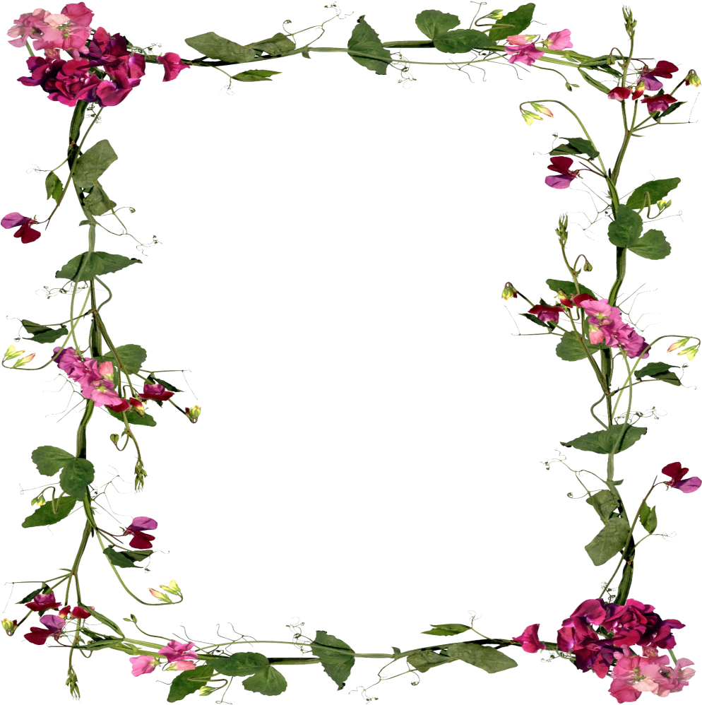 Mq Flowers Vines Border Frame Frames Clipart - Full Size Clipart ...