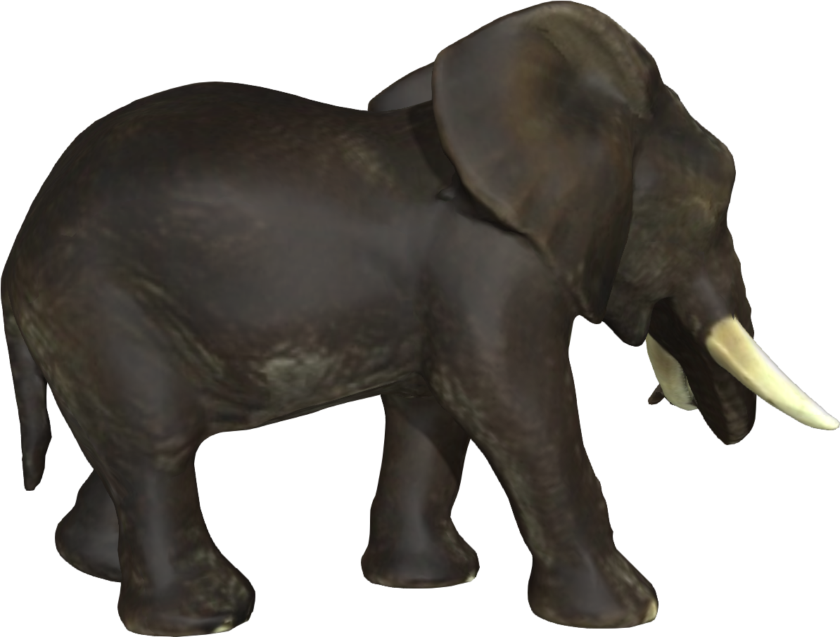 Wild Animals Clipart - Png Download - Full Size Clipart (#2358411 ...