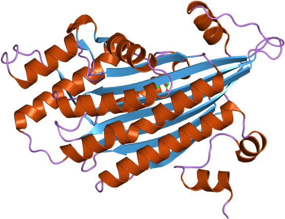 The Clipart - Full Size Clipart (#2383286) - PinClipart