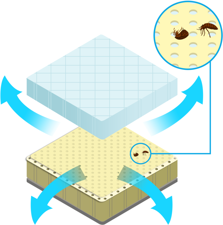 Arthrocase Bed Bug Box Spring Cover Clipart - Full Size Clipart ...