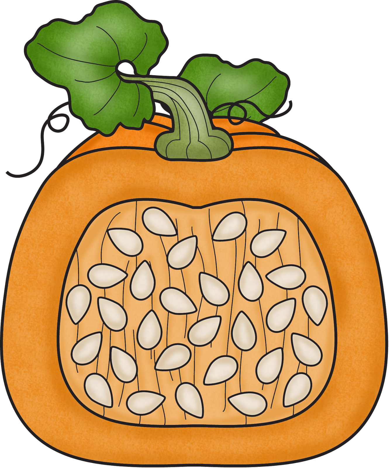 We Measured Our Pumpkin's Height And Circumference, Clipart - Full Size ...