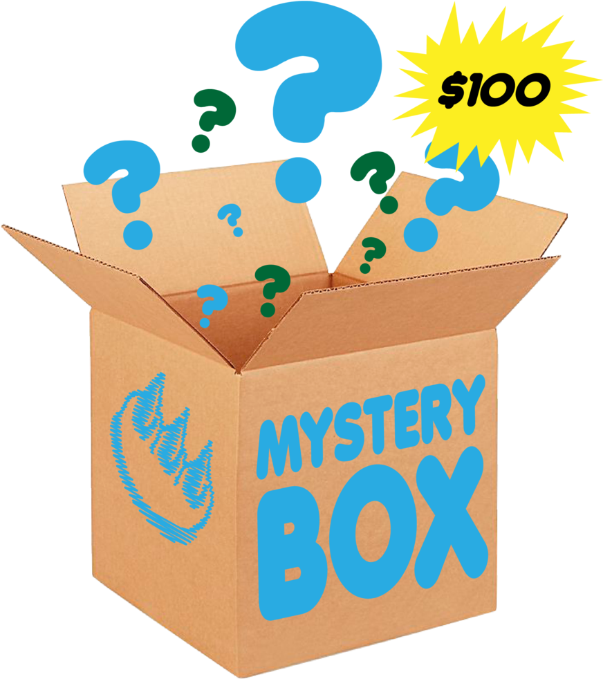 Download $100 Mystery Box Clipart (#2419577) - PinClipart