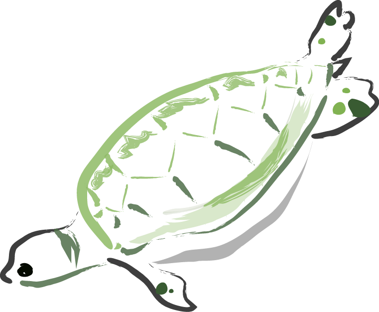 Gopher Tortoise Clipart - Png Download - Full Size Clipart (#2421383 ...