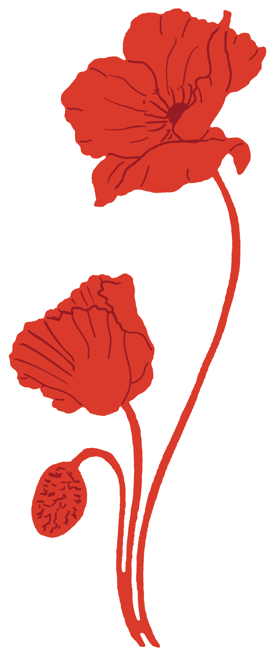 Wild Rice Clip Art - Png Download - Full Size Clipart (#2434426 ...