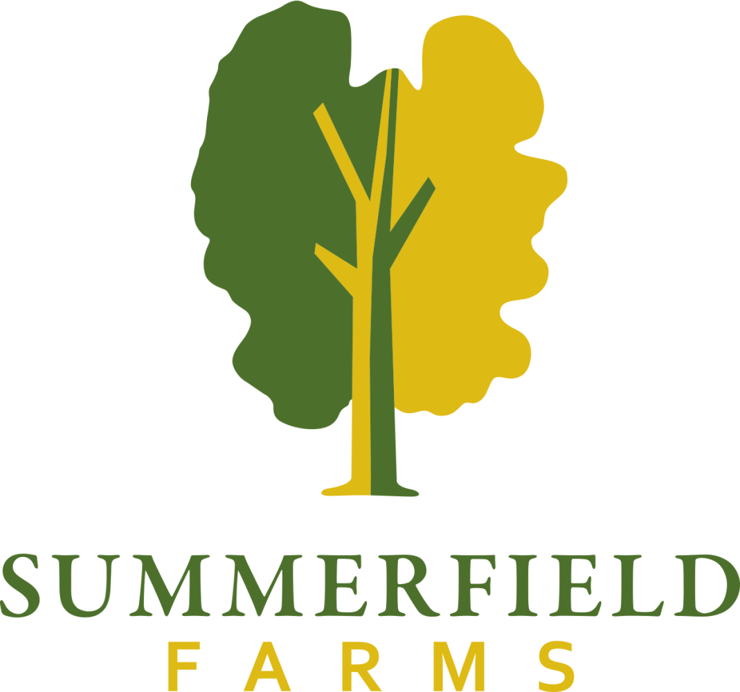 Back Home Back Home Clipart - Full Size Clipart (#2457965) - PinClipart