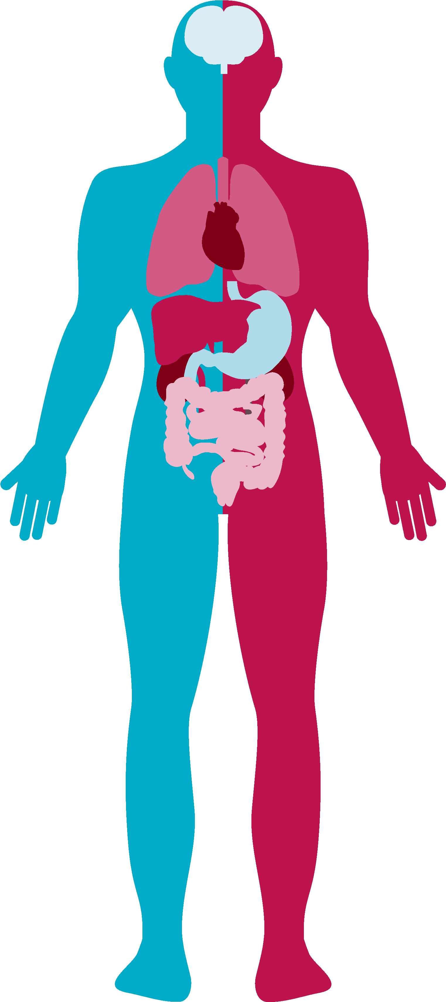 Body Image Clipart - Full Size Clipart (#2460165) - PinClipart