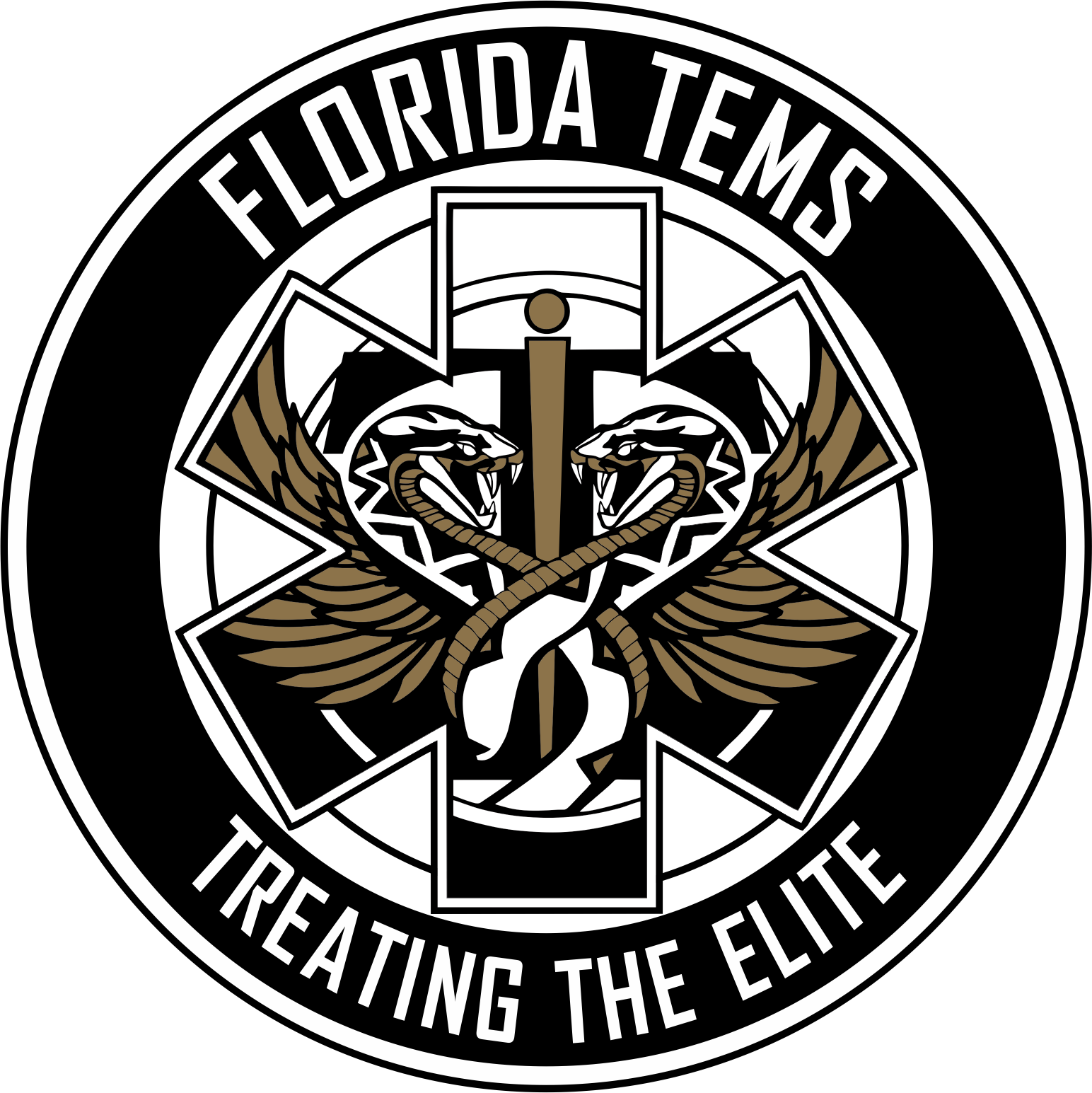 Download Emergency Trauma Symbol Analogous Situations Can Inspire ...