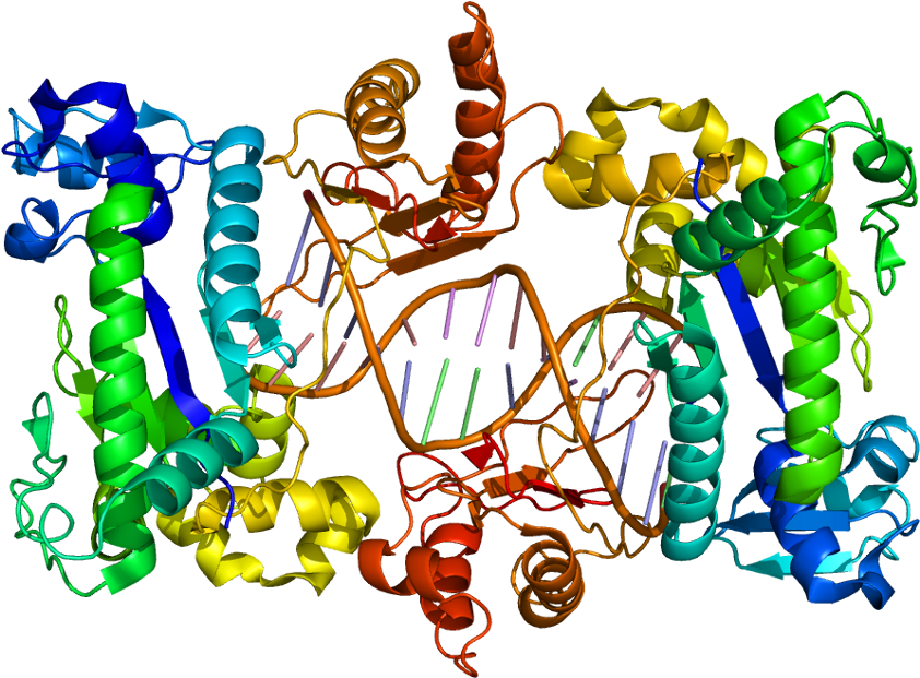 Mismatch Clip Art - Png Download - Full Size Clipart (#2485841 ...