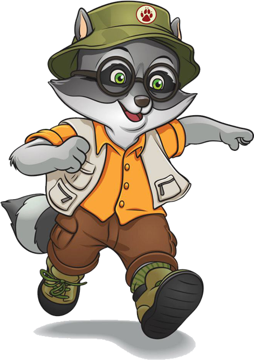 Oliver The Raccoon Clipart - Full Size Clipart (#2492513) - PinClipart