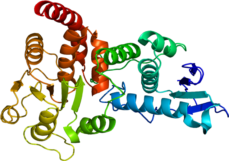 Mitosis Clip Art - Png Download - Full Size Clipart (#2507720) - PinClipart