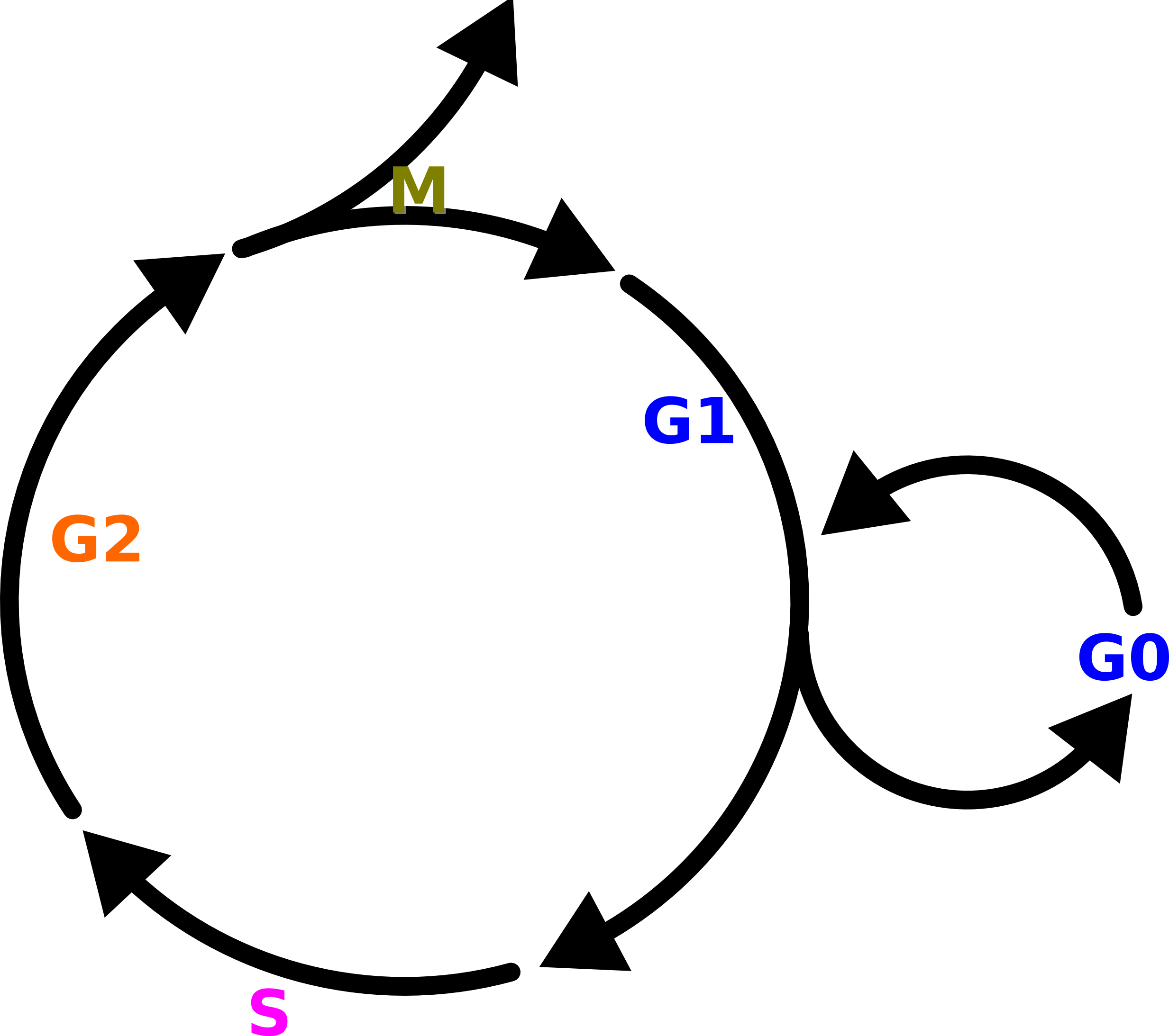 Cell Cycle Clipart - Full Size Clipart (#2508424) - PinClipart