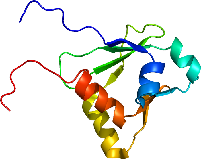 Cell Cycle Clip Art - Png Download - Full Size Clipart (#2508451 ...