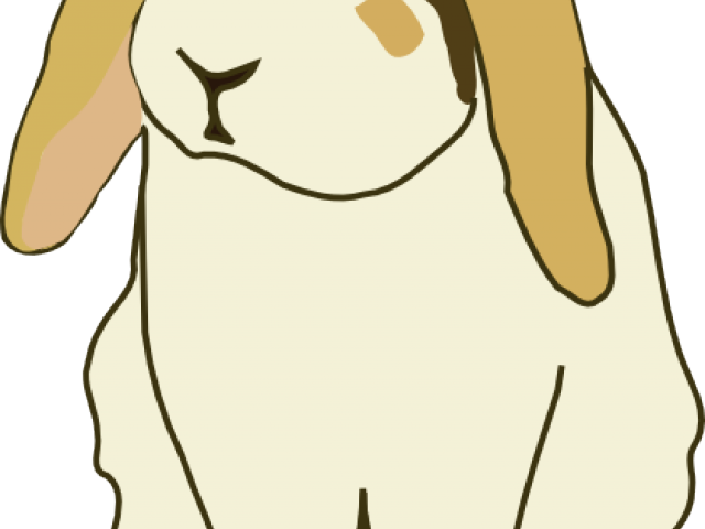 Bunny Clipart Mini Lop - Png Download - Full Size Clipart (#2527082 ...