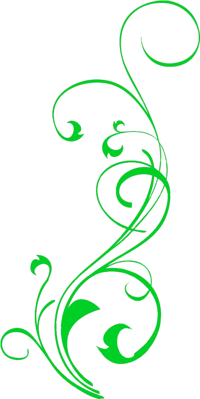 Next Clipart - Full Size Clipart (#2527470) - PinClipart