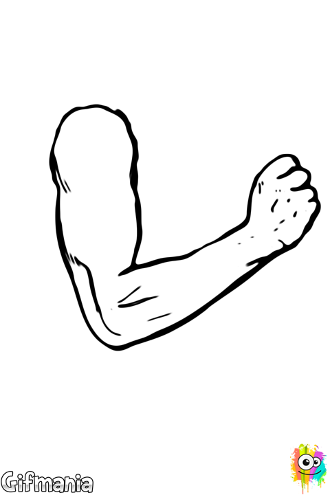 Brazo Clipart - Full Size Clipart (#2535563) - PinClipart