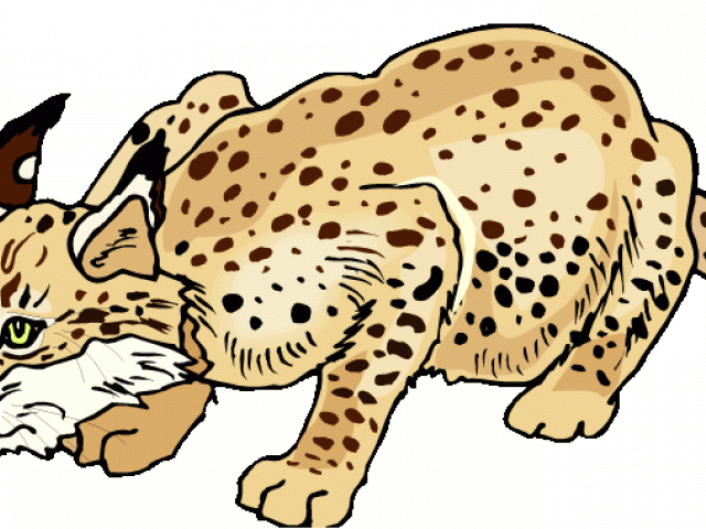 Bobcat Clipart Transparent - Png Download - Full Size Clipart (#2561068 ...