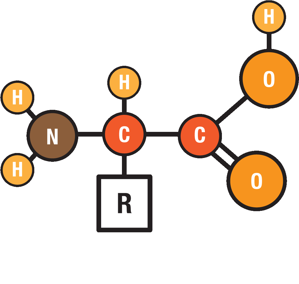 A Unique Combination Clipart - Full Size Clipart (#2564626) - PinClipart