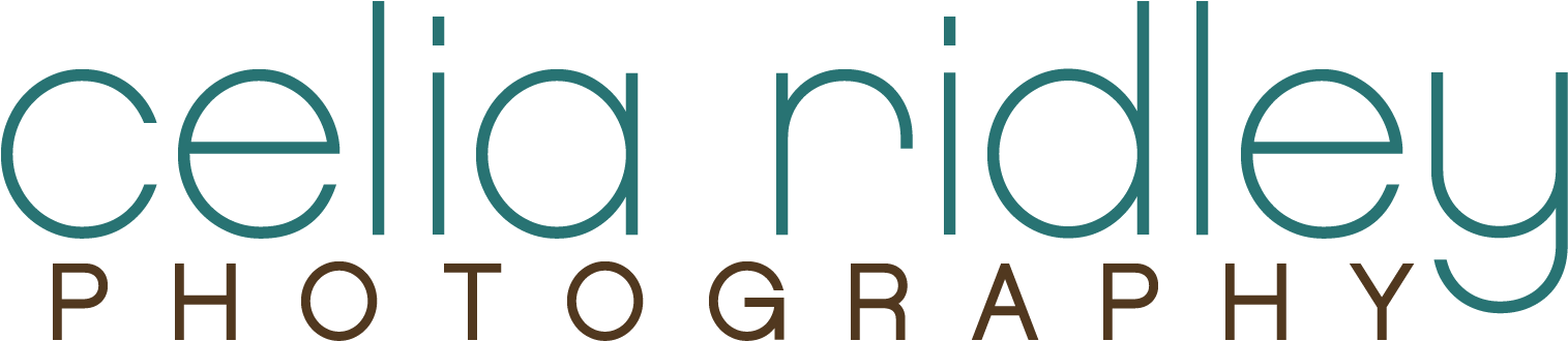 Celia Ridley Photography Clipart - Full Size Clipart (#2565048 ...