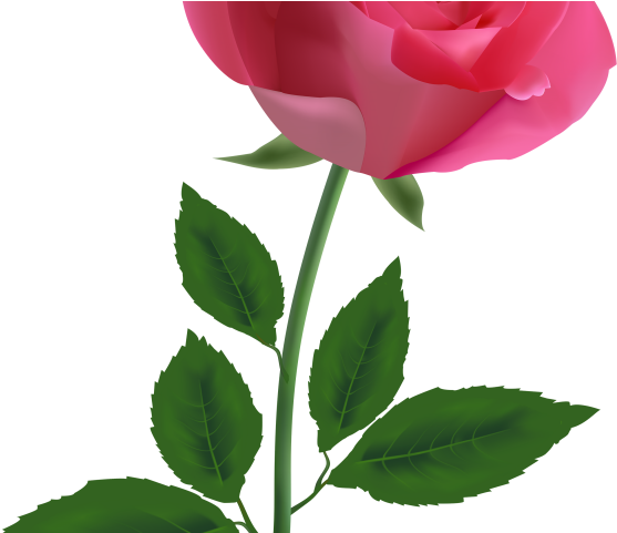 Rose Clipart Rose Bud - Png Download - Full Size Clipart (#2586197 ...