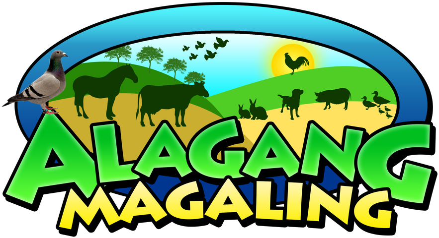 Picture Clipart - Full Size Clipart (#2597451) - PinClipart