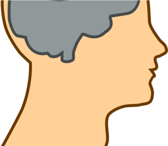 Computer Clipart Head - Png Download - Full Size Clipart (#2597903 ...