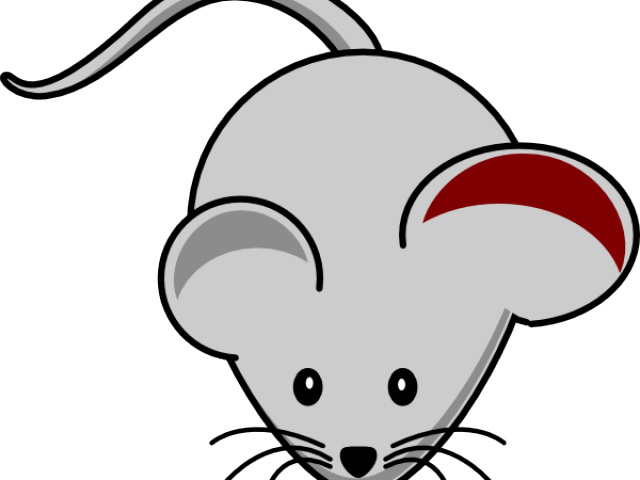 Rat Clipart Injection - Png Download - Full Size Clipart (#2619797 ...