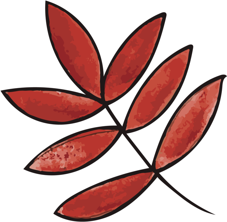 Fall Leaf Clipart - Full Size Clipart (#2631203) - PinClipart