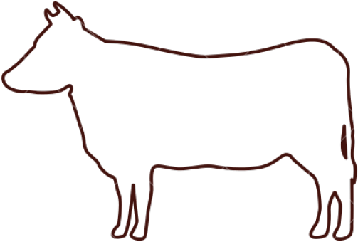 Beef Clipart Outline - Png Download - Full Size Clipart (#2670916 ...