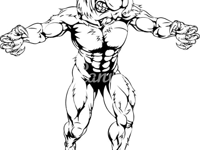 Raccoon Clipart Muscular - Png Download - Full Size Clipart (#2679170 ...