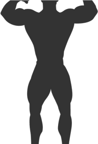 Bodybuilder Clipart - Png Download - Full Size Clipart (#2711755 ...