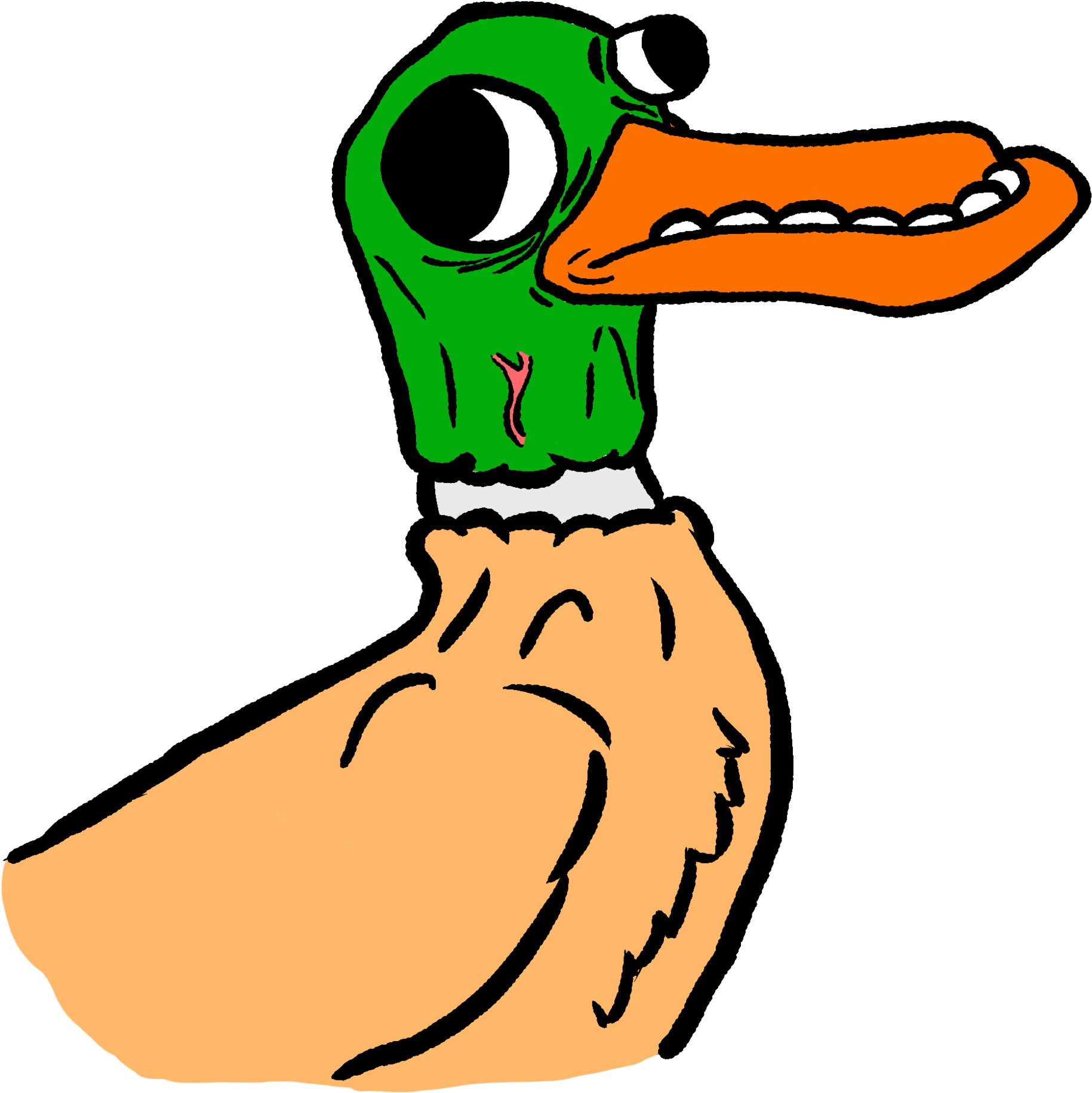 Wood Duck Clip Art - Png Download - Full Size Clipart (#2748169 ...