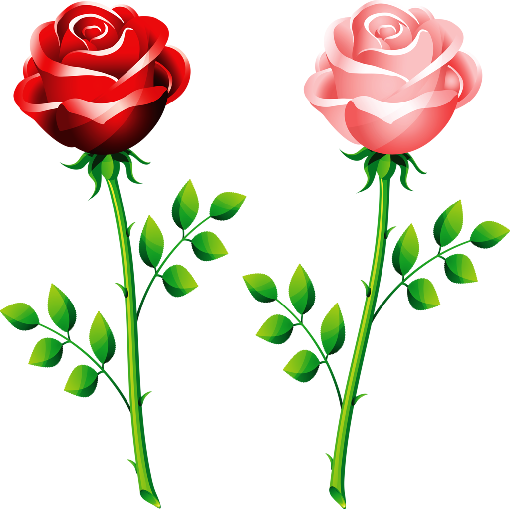 Flôres Free Vector Graphics, Vector Free Download, Clipart - Full Size ...