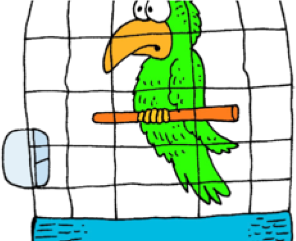 Cage Clipart Parrot - Png Download - Full Size Clipart (#2764091 ...
