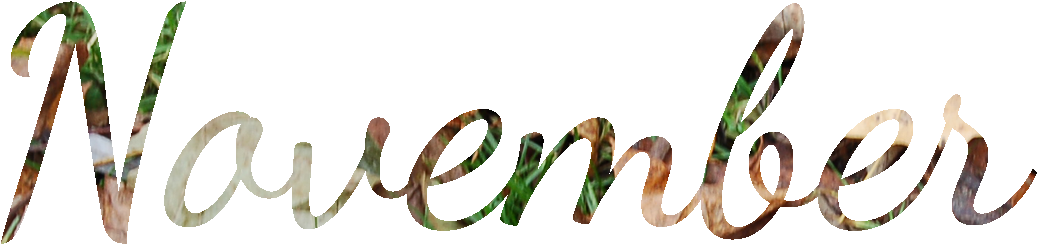 November Png Hd Clipart - Full Size Clipart (#2771346) - PinClipart