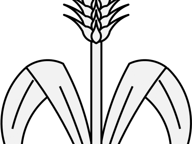 Drawn Wheat Palay Clipart - Full Size Clipart (#2777509) - PinClipart