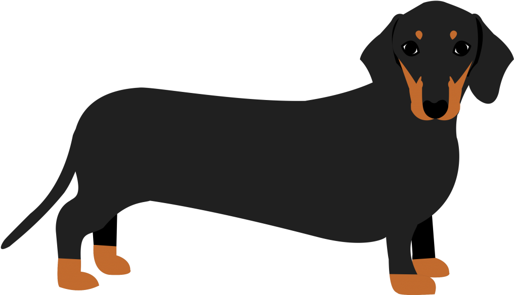 Dachshund Clip Art - Png Download - Full Size Clipart (#2800139 ...