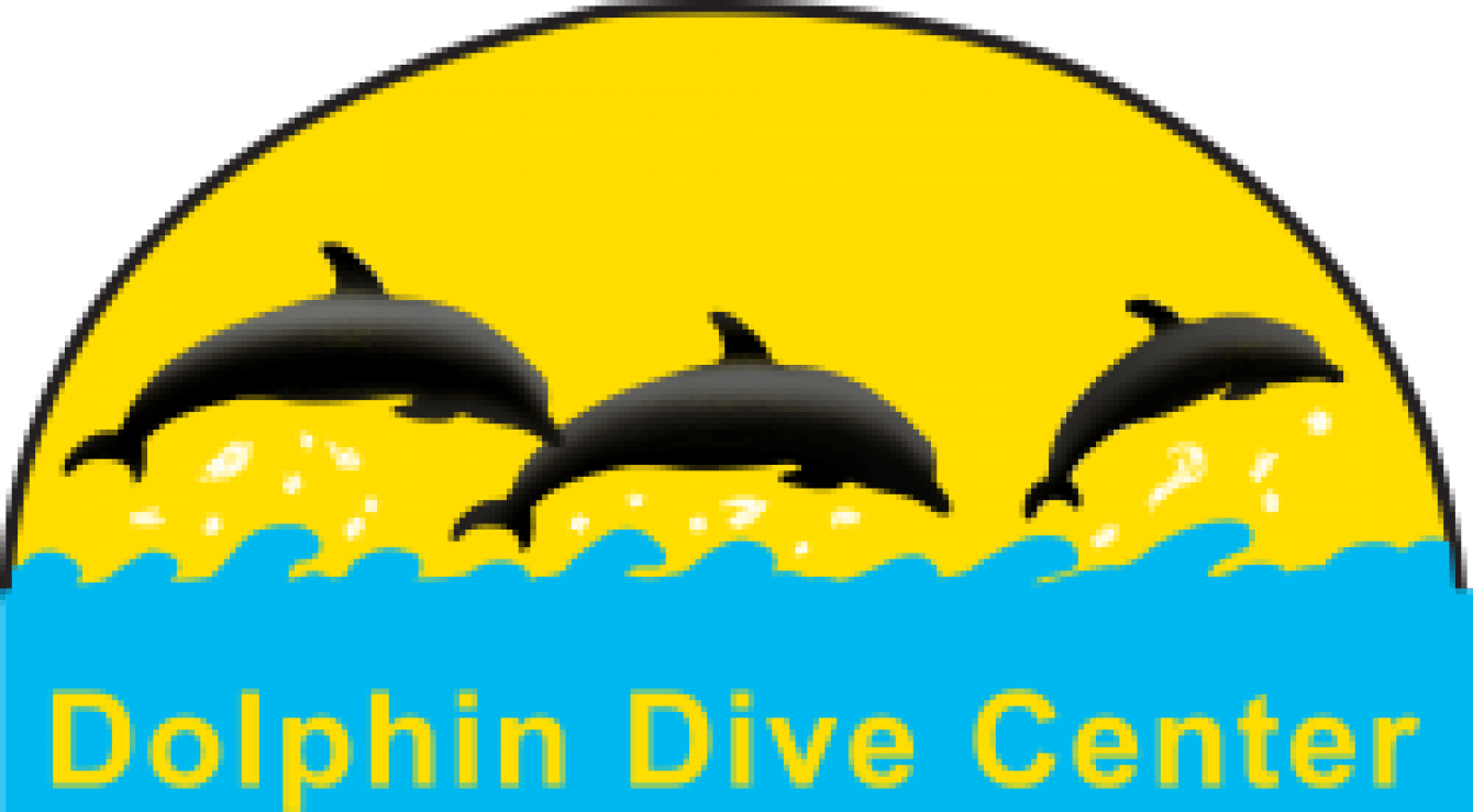 Cropped Dolphine Dive Logo Clipart - Full Size Clipart (#2800595 ...