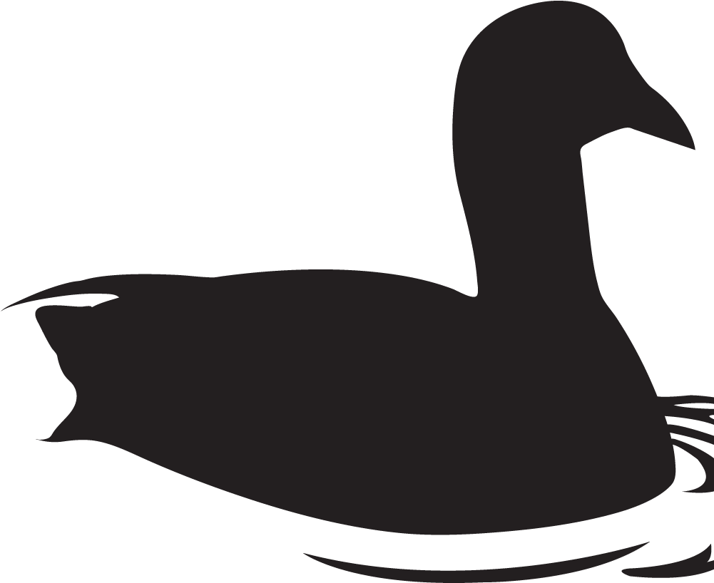American Coot Clipart - Full Size Clipart (#2806891) - PinClipart