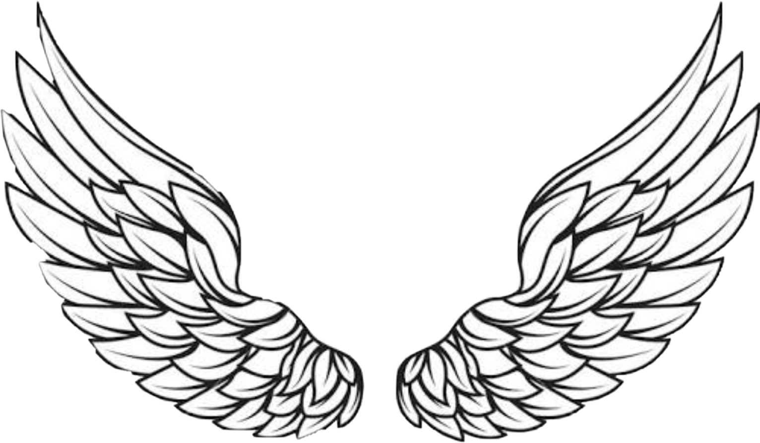 Wings Sticker Clipart - Full Size Clipart (#2811058) - PinClipart