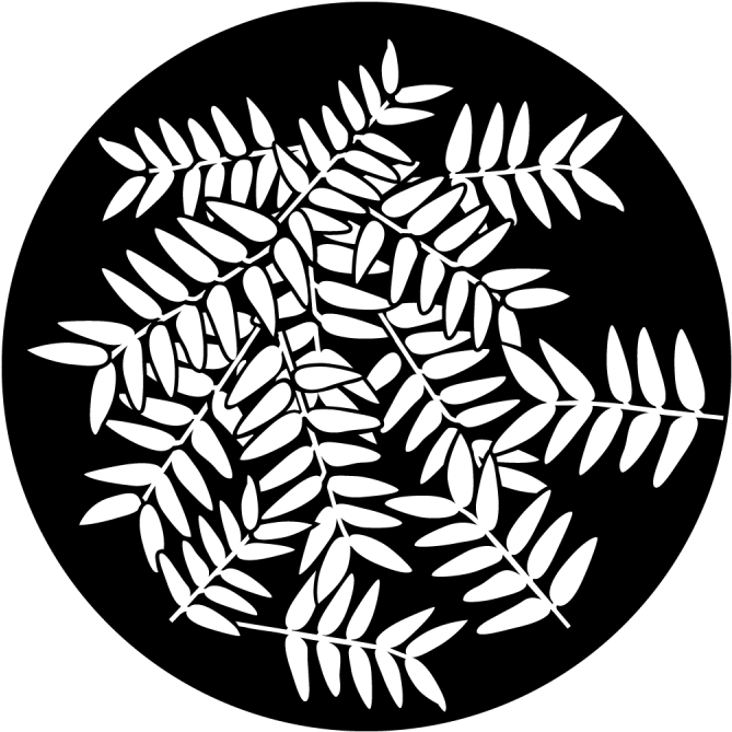 Apollo Ash Branches Gobo Clipart - Full Size Clipart (#2811431 ...