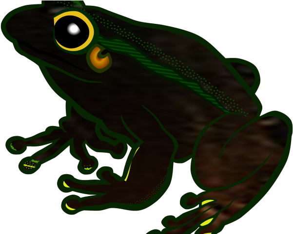 Tree Frog Clipart Transparent - Png Download - Full Size Clipart ...