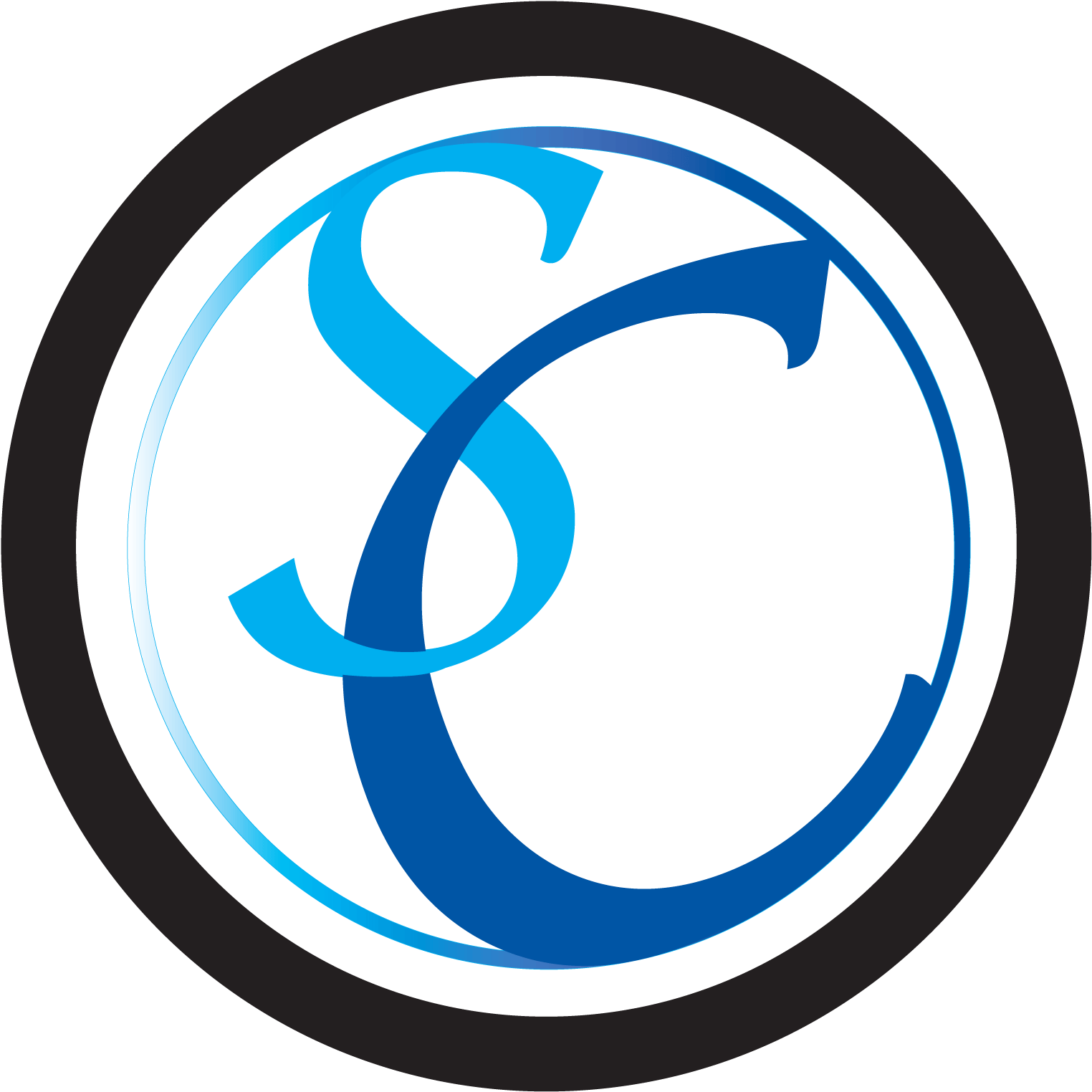 Sc State Flag Clipart Suggest - Png Download - Full Size Clipart ...