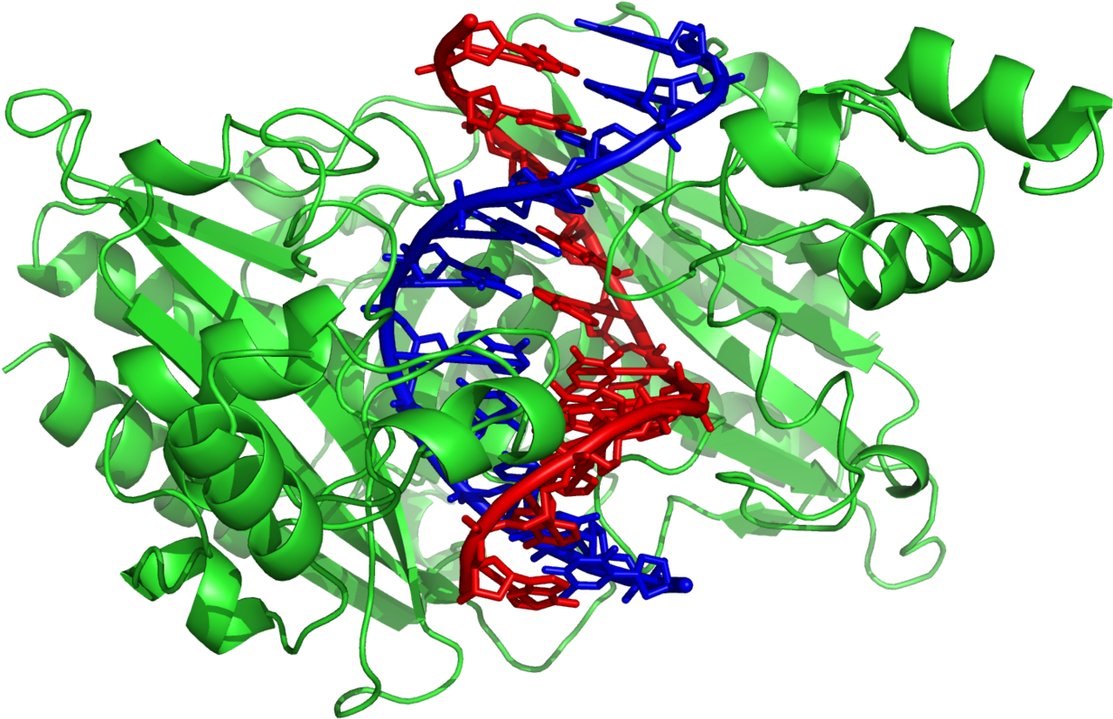 Heredity Clipart - Png Download - Full Size Clipart (#2826332) - PinClipart